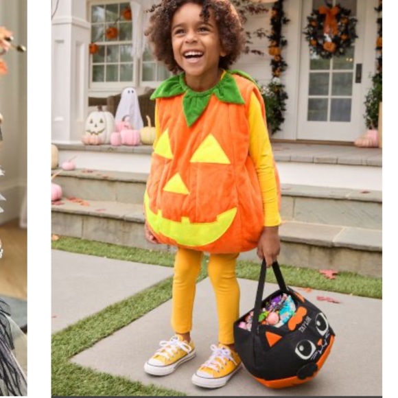 Pottery Barn Pumpkin Costume